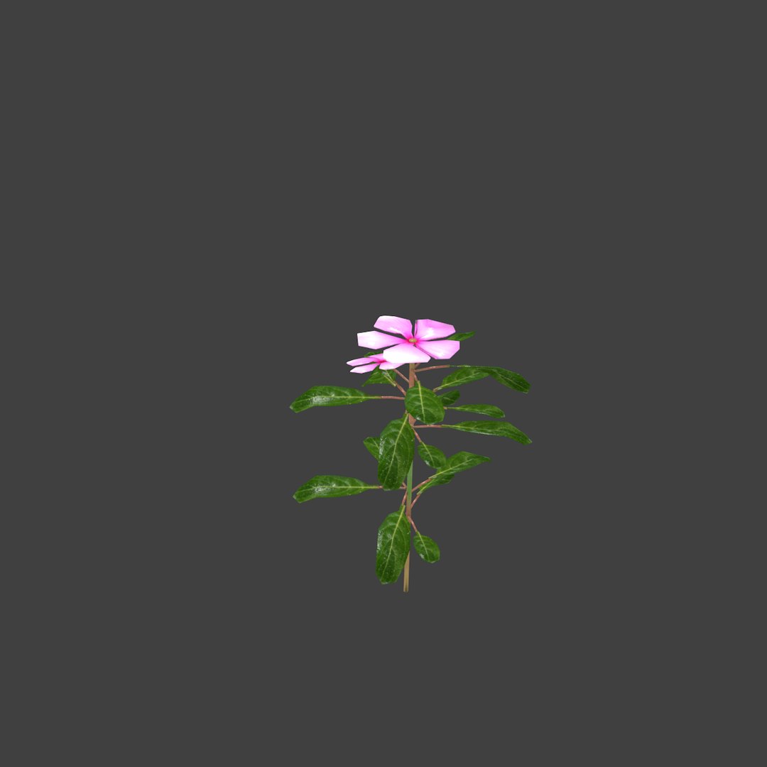 Free 3D Flowers - TurboSquid 1460322