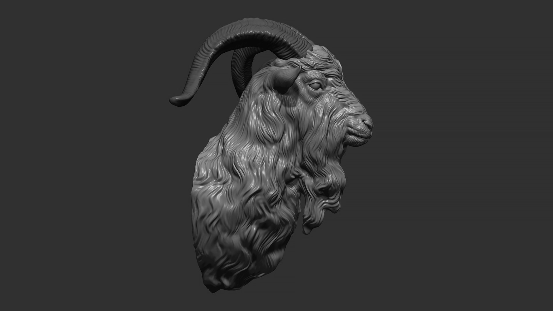 3D Goat Head - TurboSquid 1960613