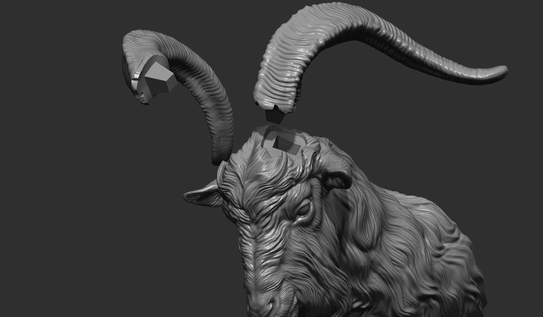 3D Goat Head - TurboSquid 1960613