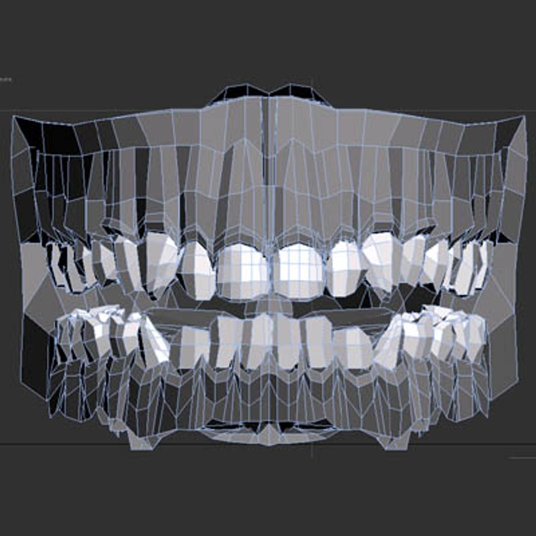 Human Teeth 3d Model