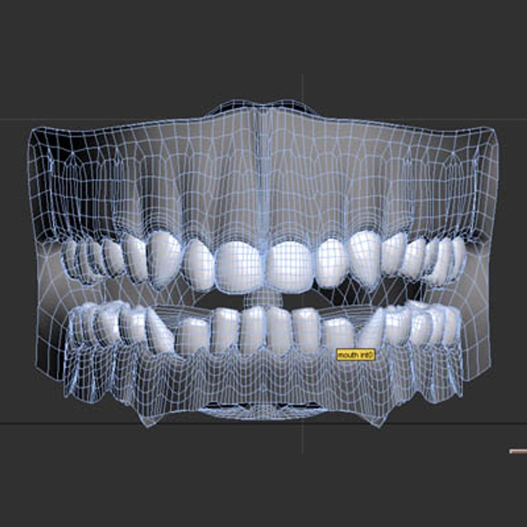 Human Teeth 3d Model