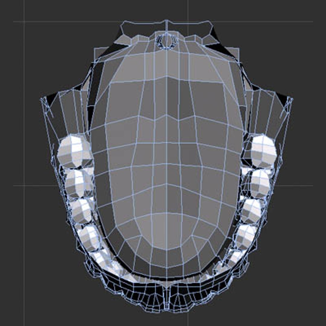 Human Teeth 3d Model