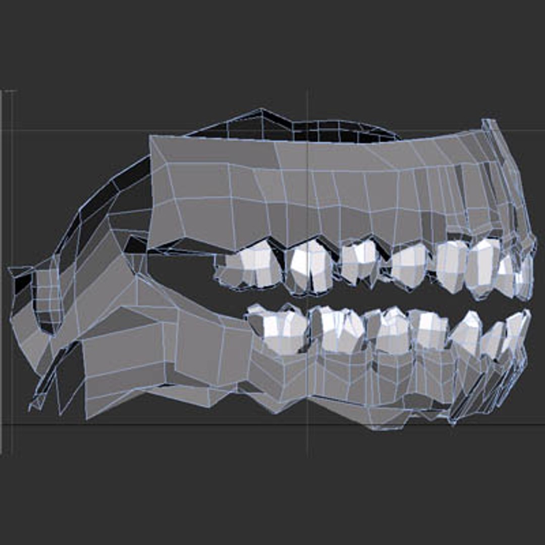 Human Teeth 3d Model