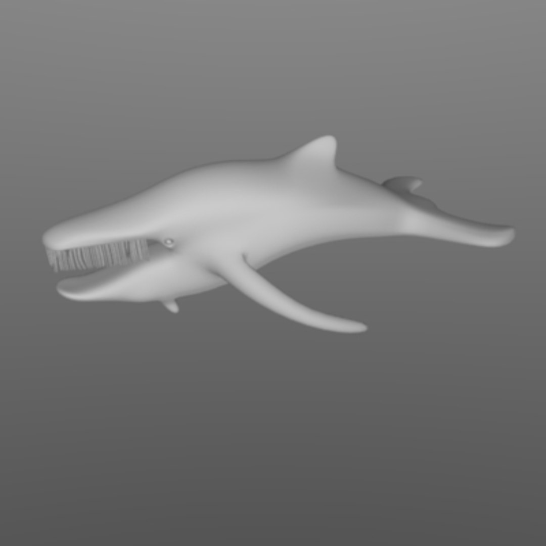 Maya Whale