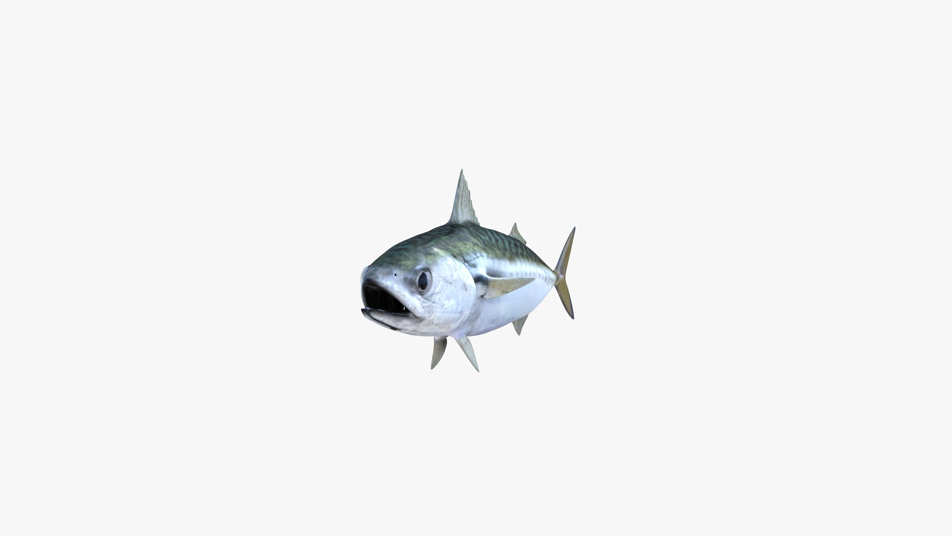 Pacific Chub Mackerel 3D Model - TurboSquid 2400410