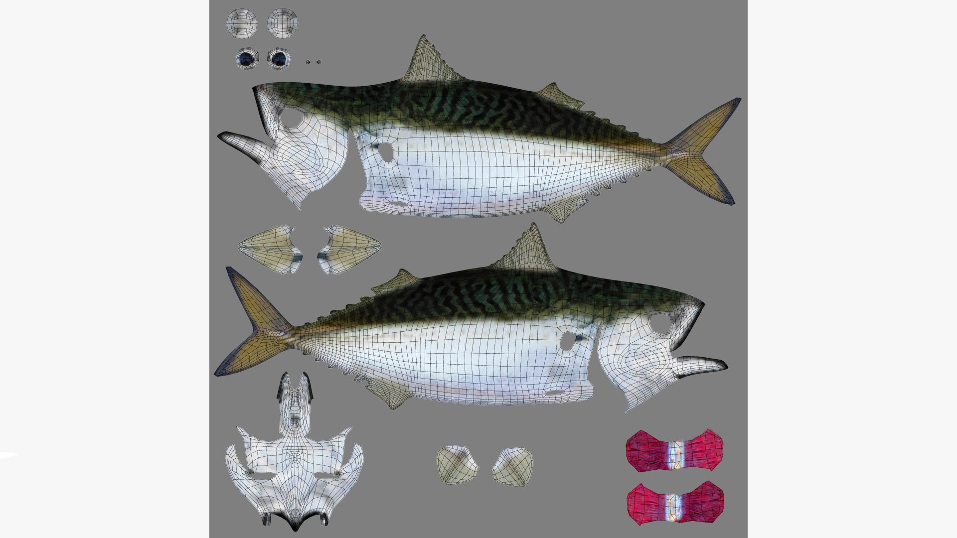 Pacific Chub Mackerel 3D Model - TurboSquid 2400410