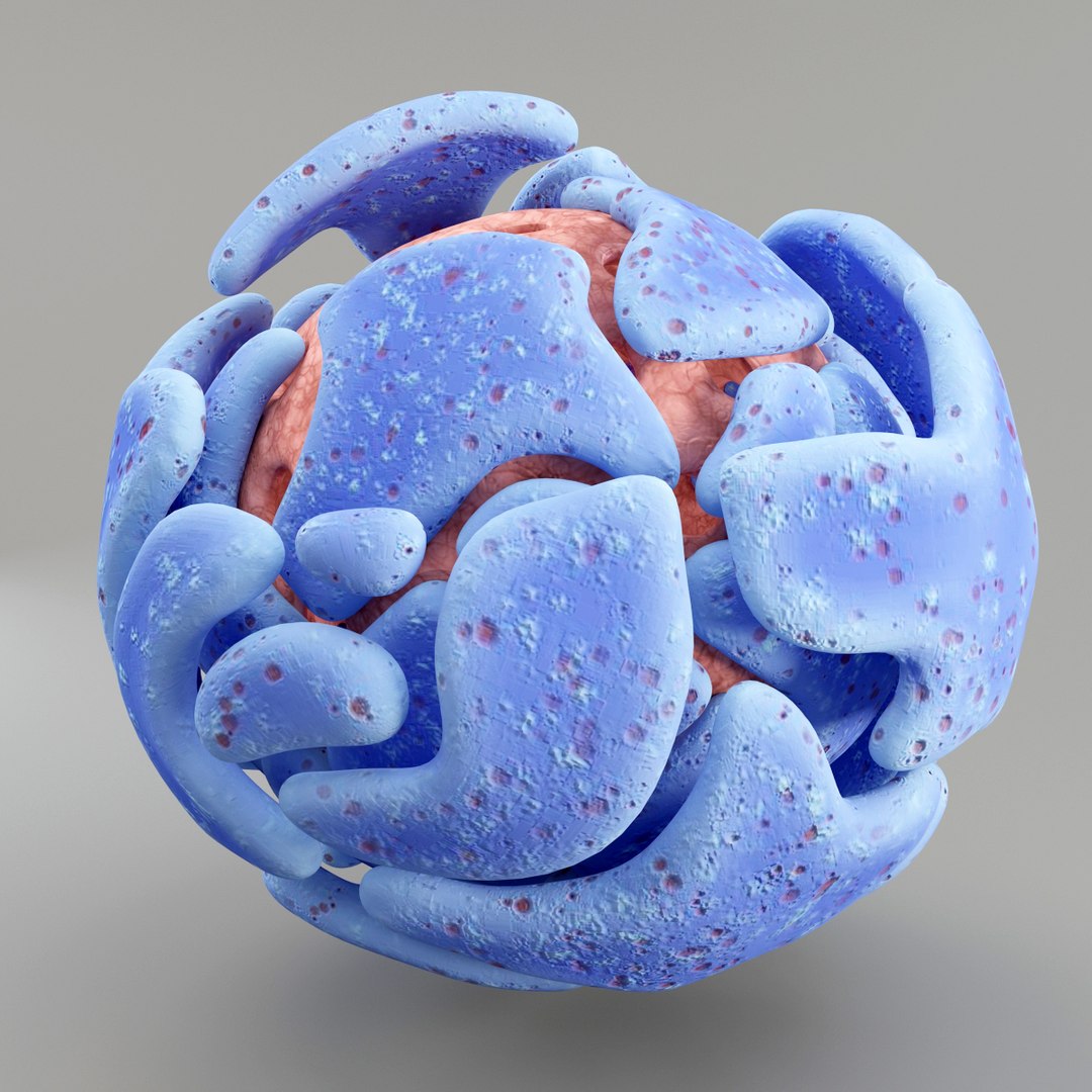 3d Model Of Cell
