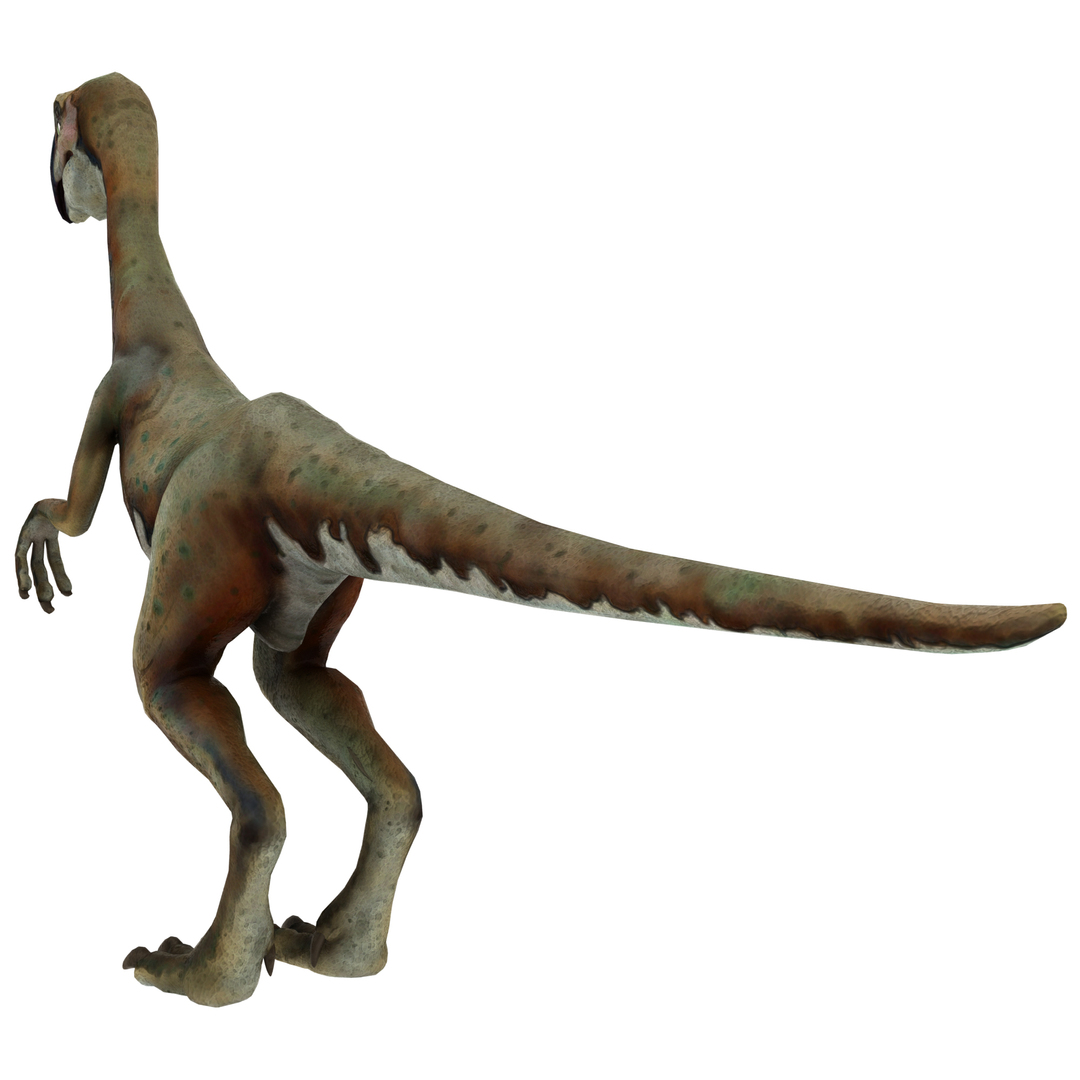 3D model oviraptor raptor - TurboSquid 1225157