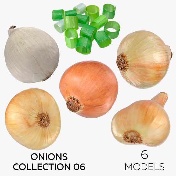 Scallion 3D Models for Download | TurboSquid