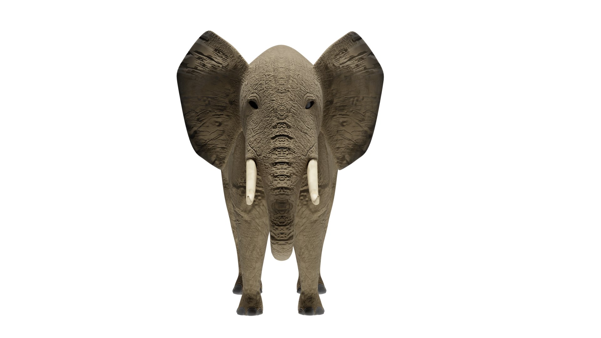 Elephant 3D Model Rigged And Animated Model - TurboSquid 2300453