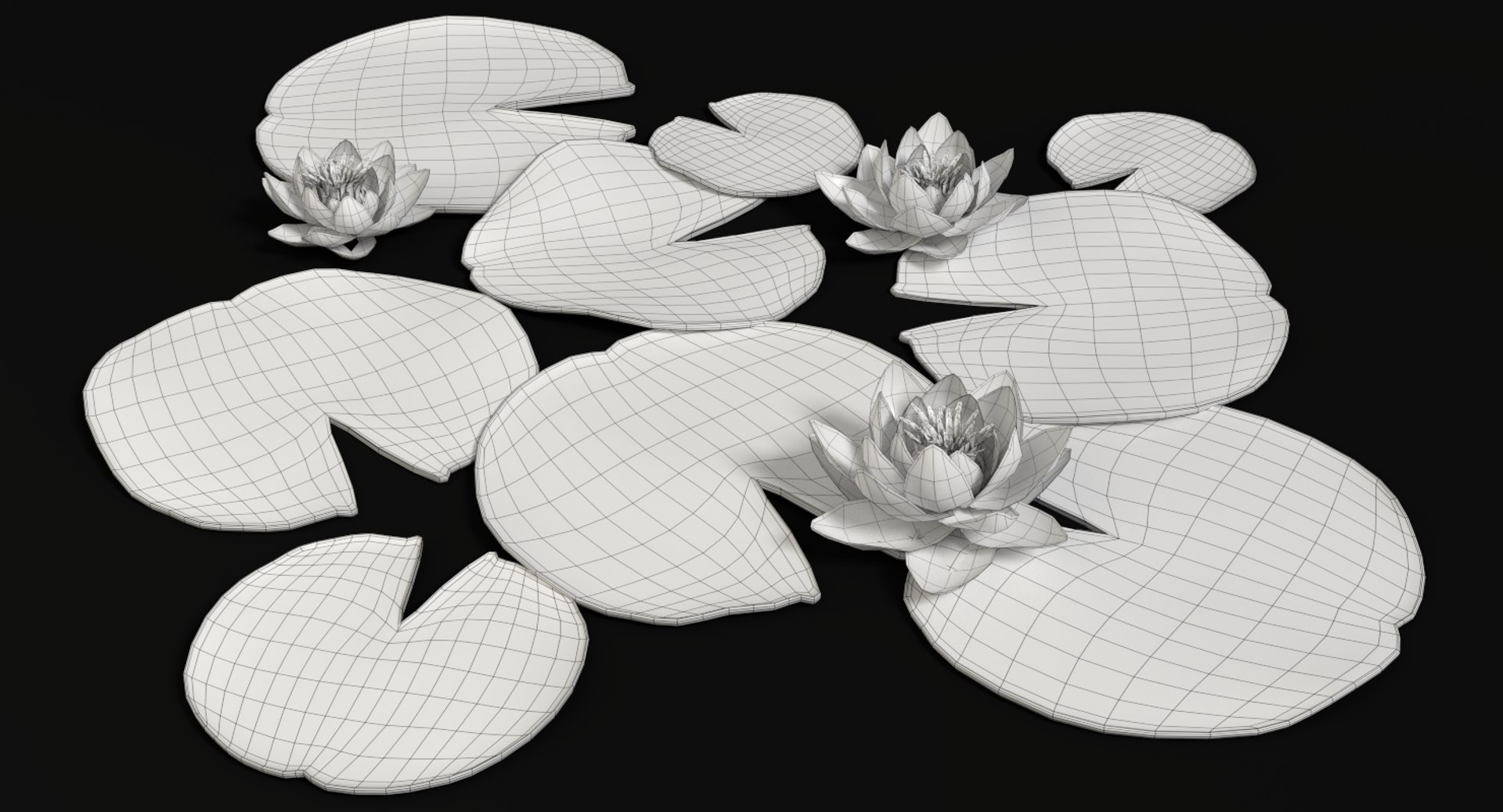 3d model water lily