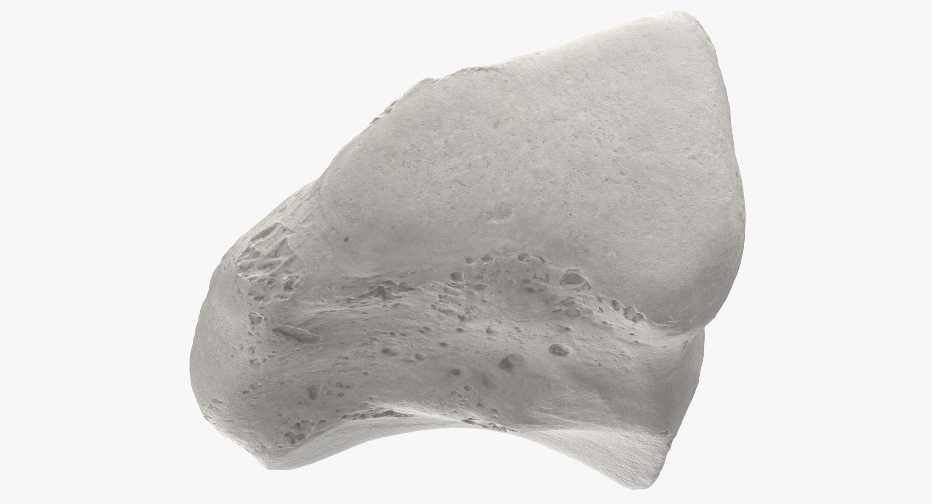 Cuneiform Bone Lateral 01 3D Model - TurboSquid 1567908