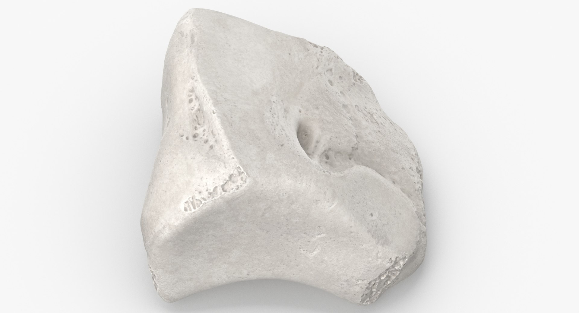 Cuneiform bone lateral 01 3D model - TurboSquid 1567908