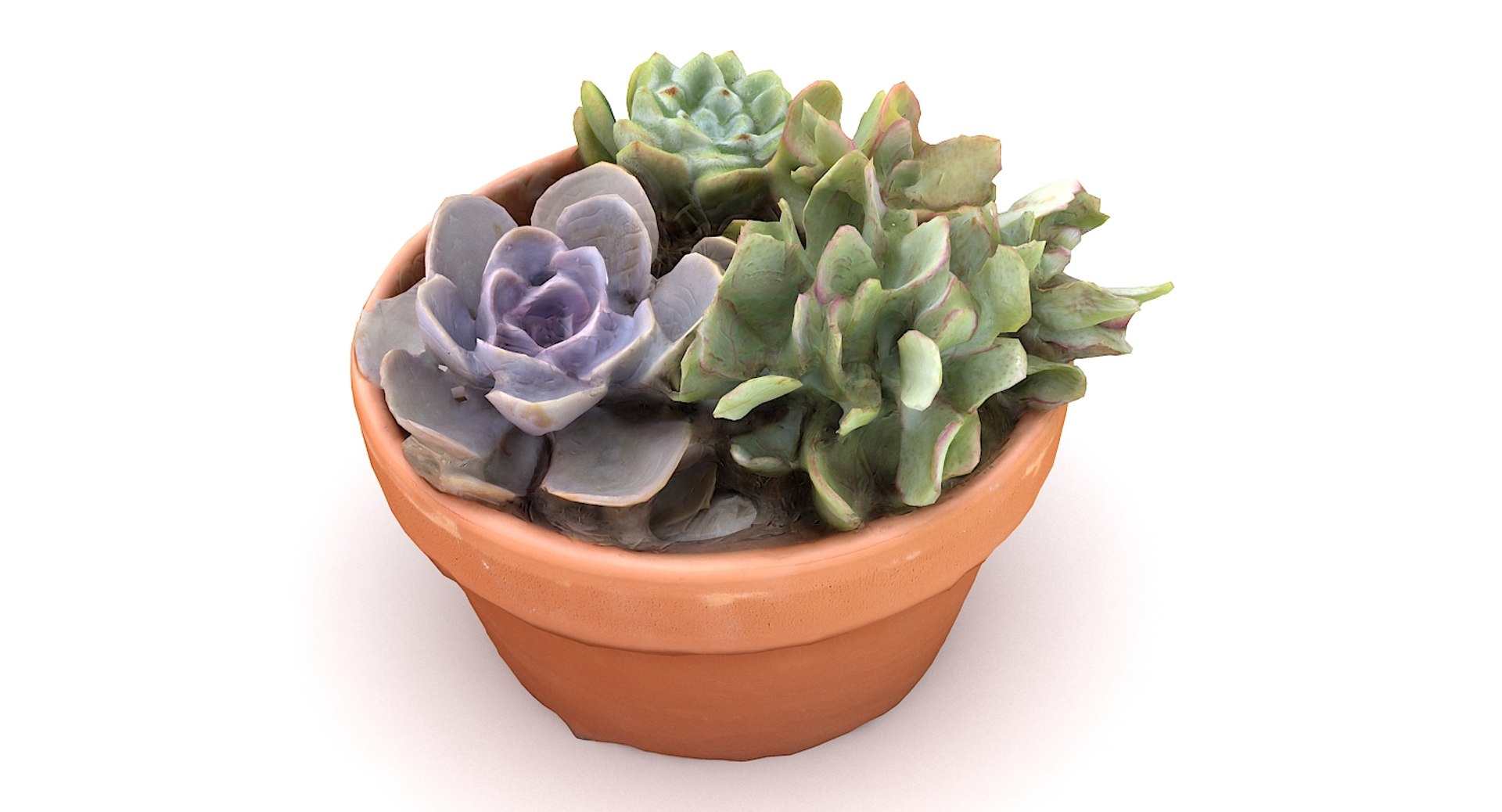 3D Model Small Patio Table Plant - TurboSquid 1329286