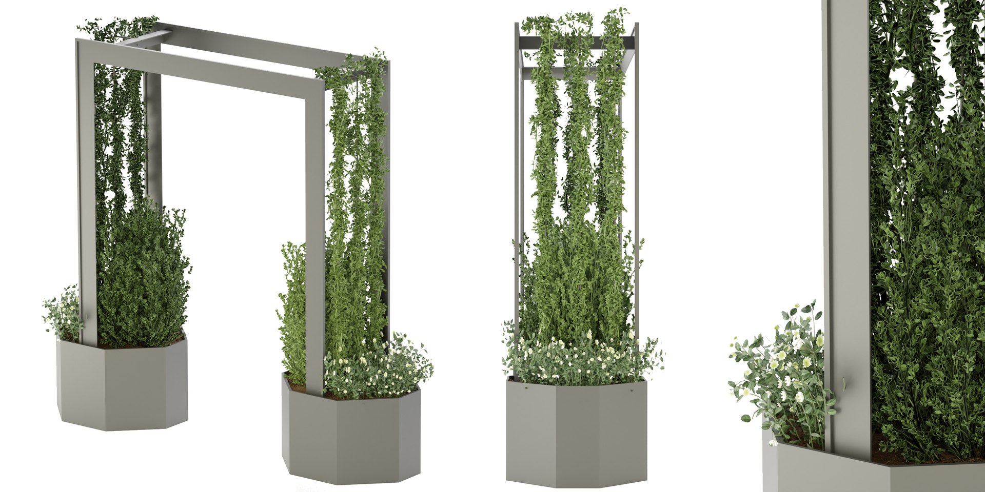 Collection Plant Vol 147 - Blender Model 3D Model - TurboSquid 2086013