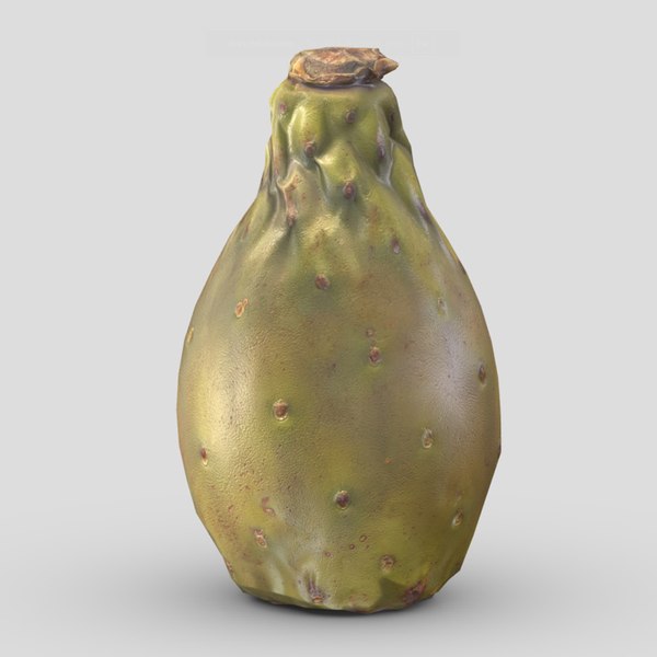 modelo 3d Fruta Tuna Low Poly - TurboSquid 2367666