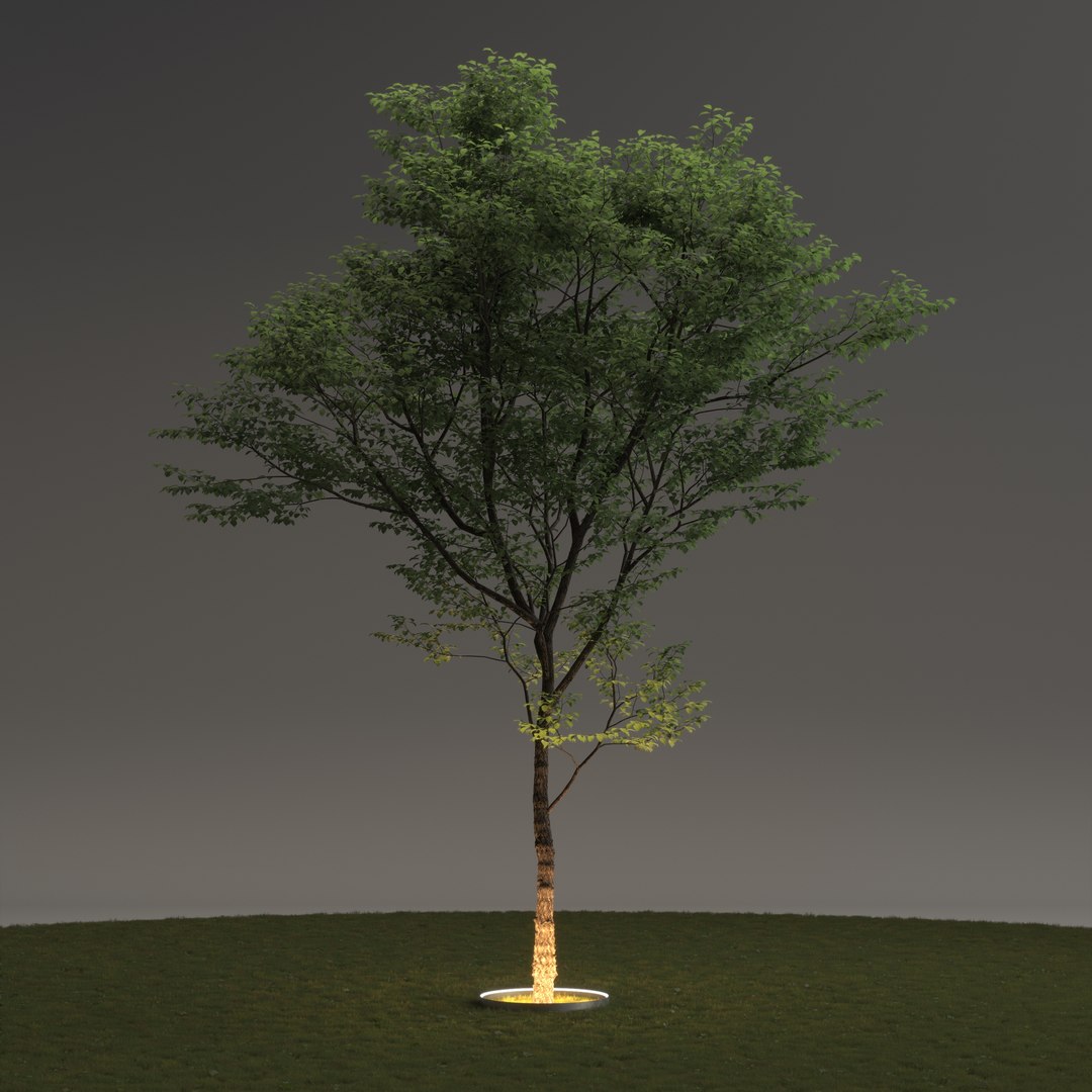 Vibizzuno Soleluna By Mario Nanni 3D Model - TurboSquid 1872515