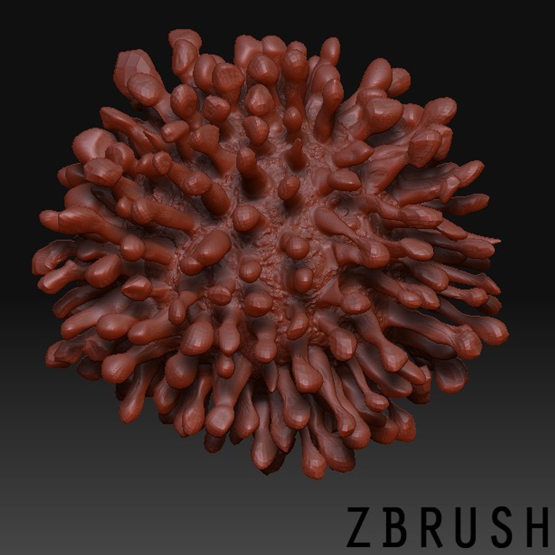 3d Hepatitis C Virus