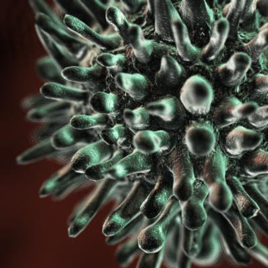 3d Hepatitis C Virus