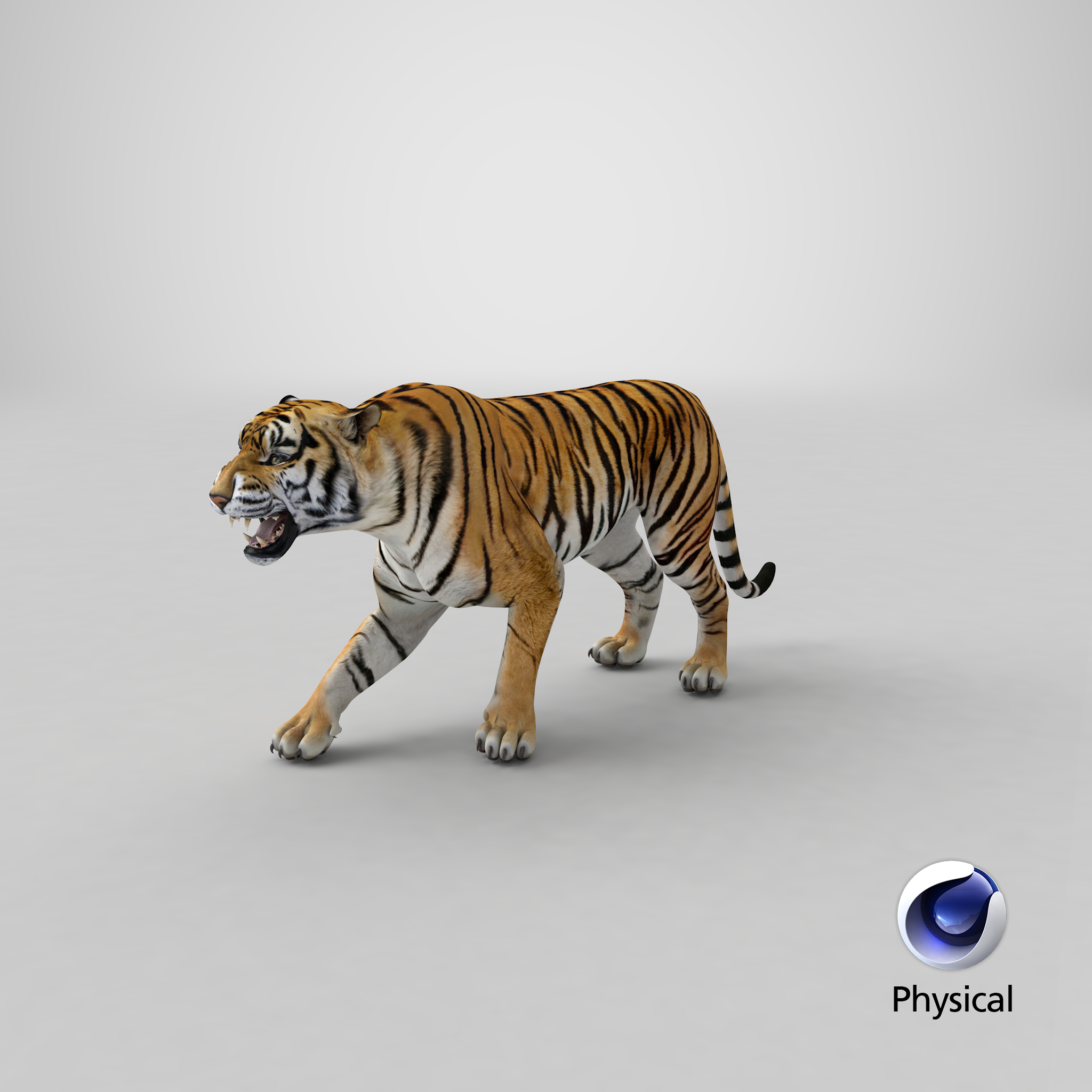3D model tiger roar - TurboSquid 1271764