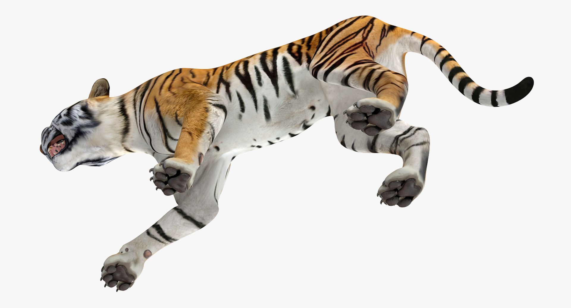 3D model tiger roar - TurboSquid 1271764