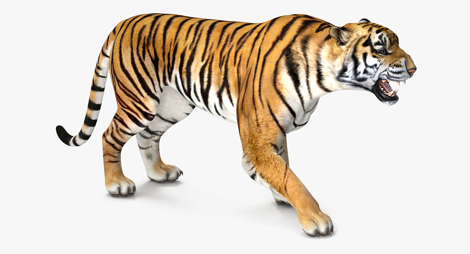 3D model tiger roar - TurboSquid 1271764
