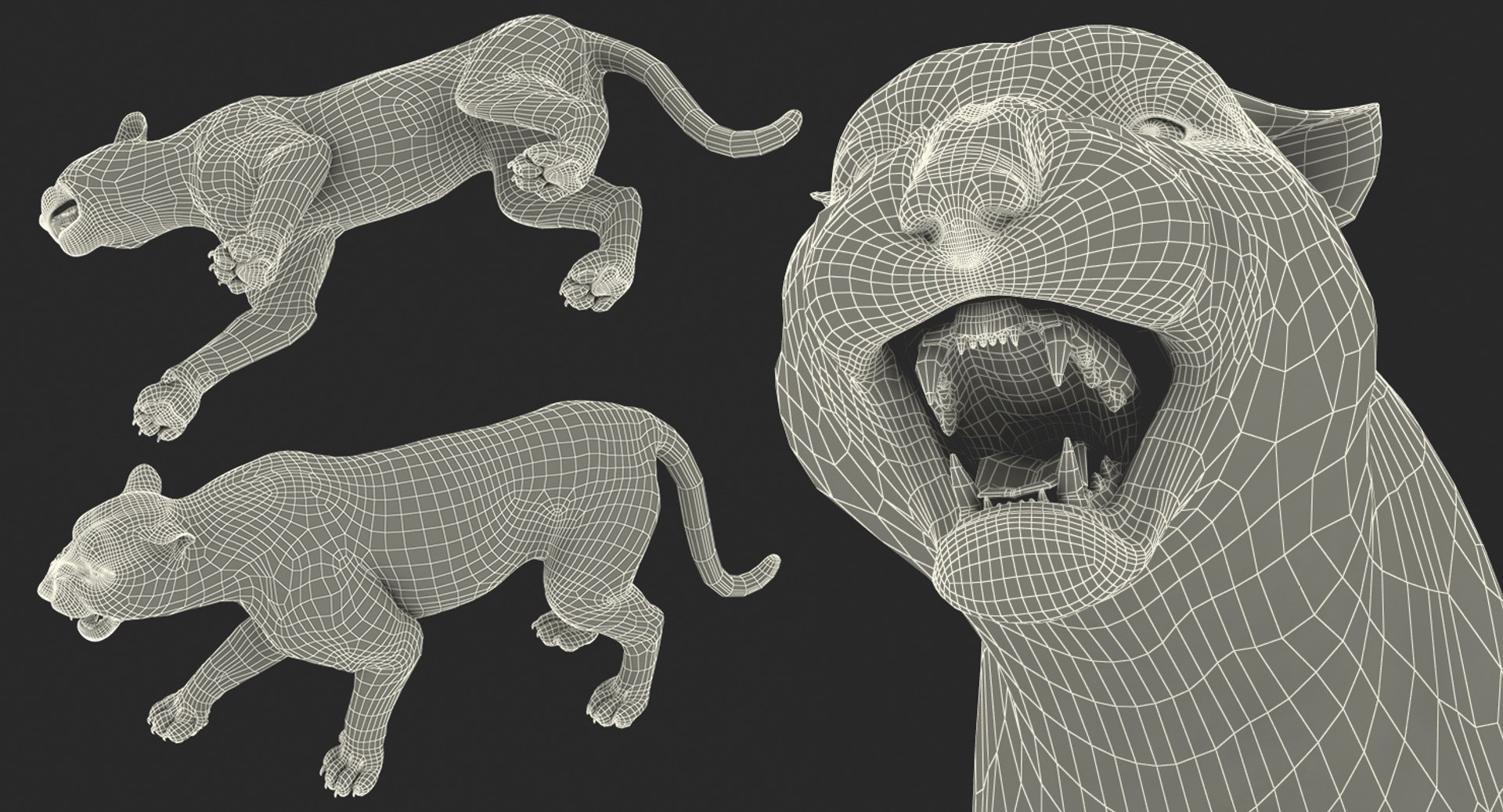 3D model tiger roar - TurboSquid 1271764