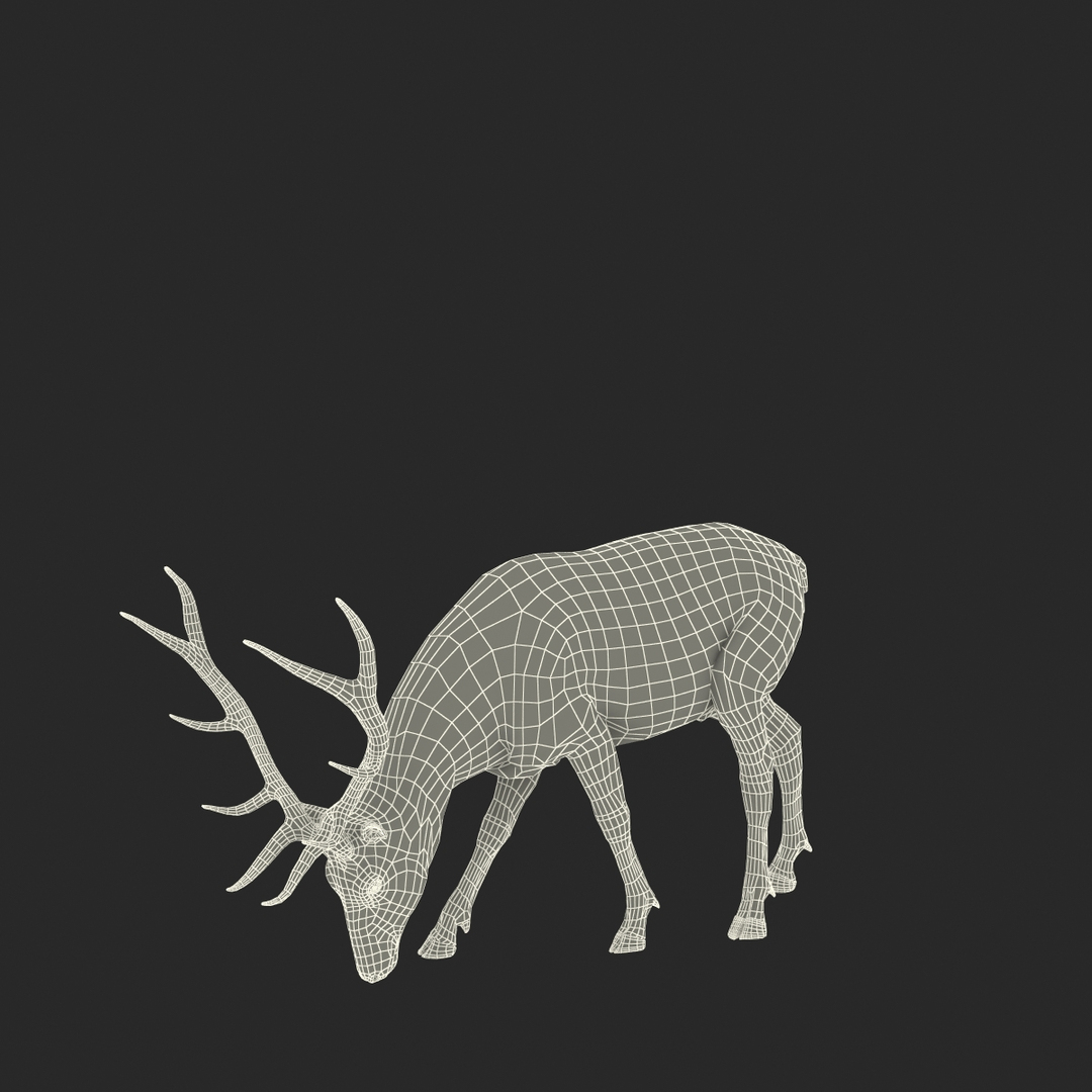elk rigged animate 3d model