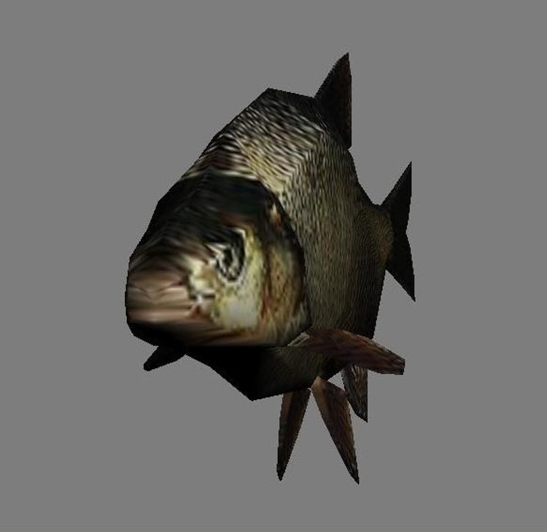 3d Bream