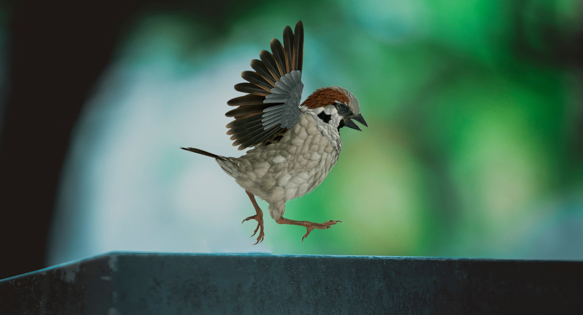 House Sparrow Rigged Model - TurboSquid 1497001
