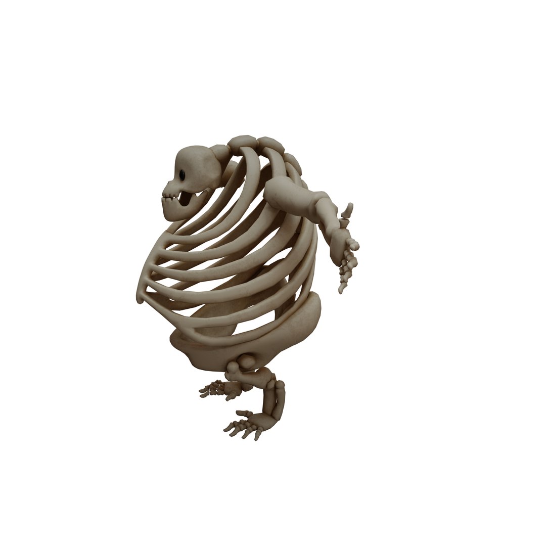 3D Chubby Fat Skeleton Rigged 3D Model - TurboSquid 2490140