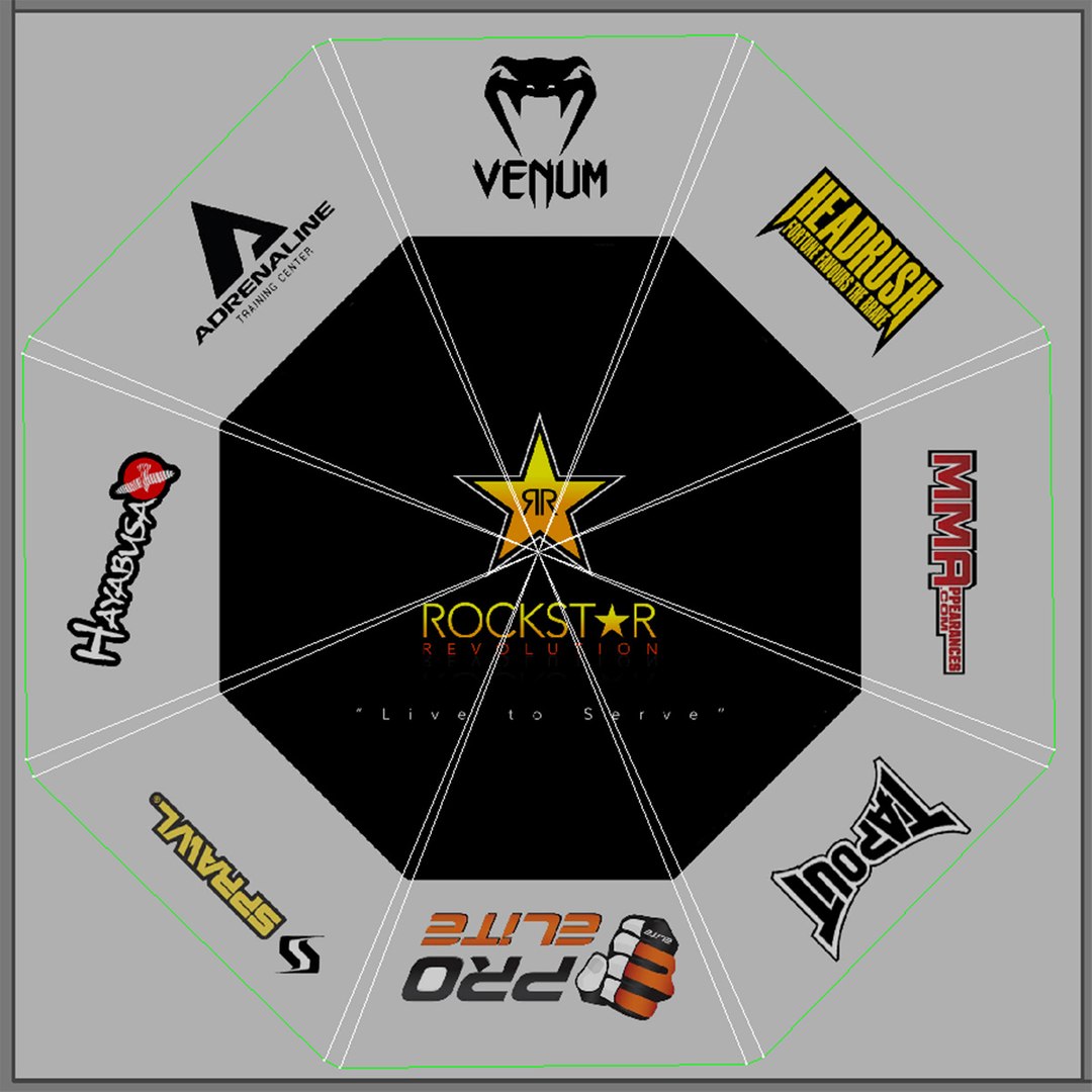 3d Fighting Octagon Arena