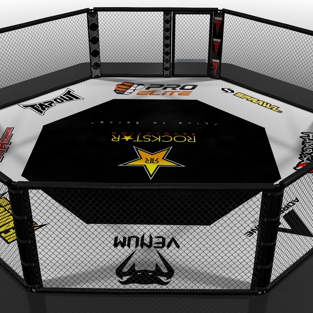 3d Fighting Octagon Arena