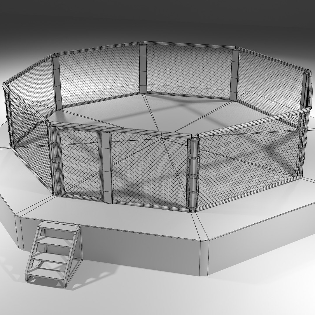 3d Fighting Octagon Arena