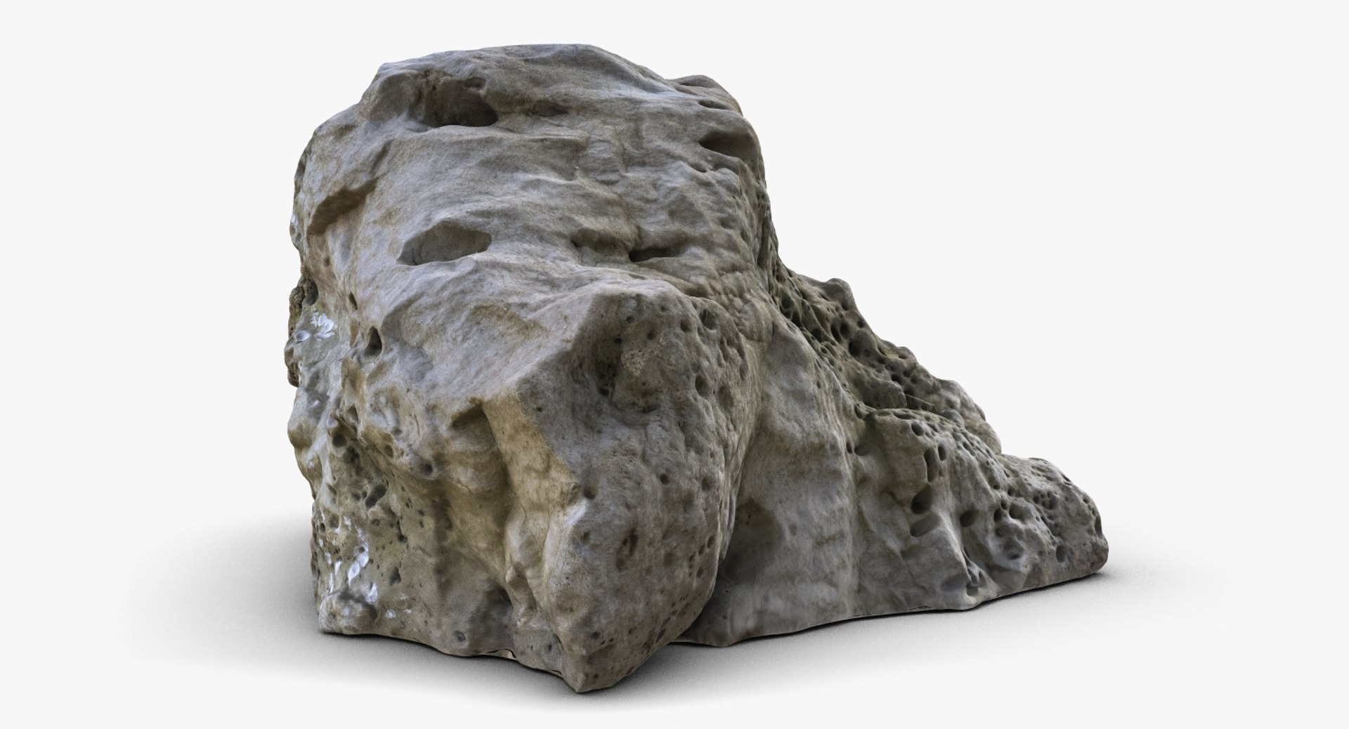coral rock 1 3d model