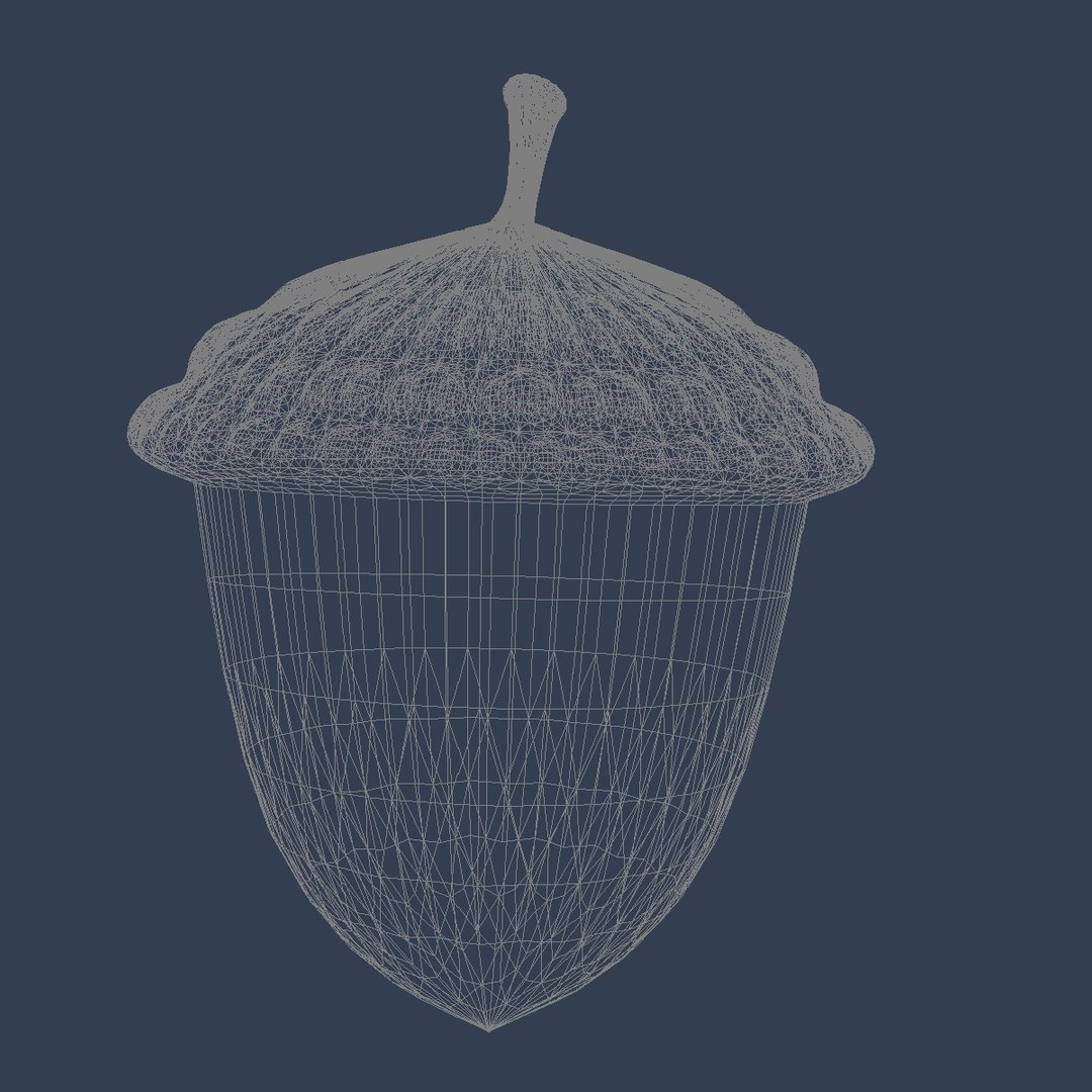 Oak Acorn 3d Model