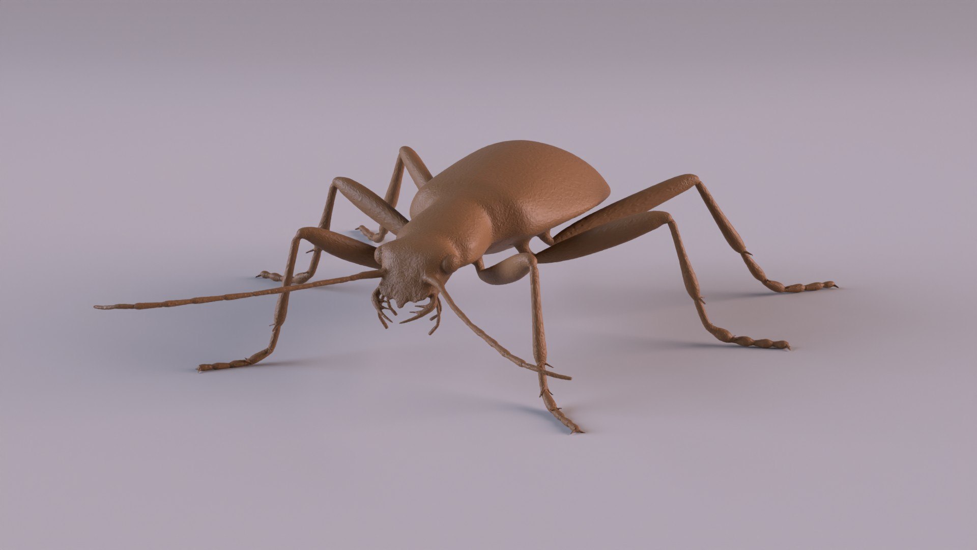Bombardier Beetle 3D Model - TurboSquid 2415592