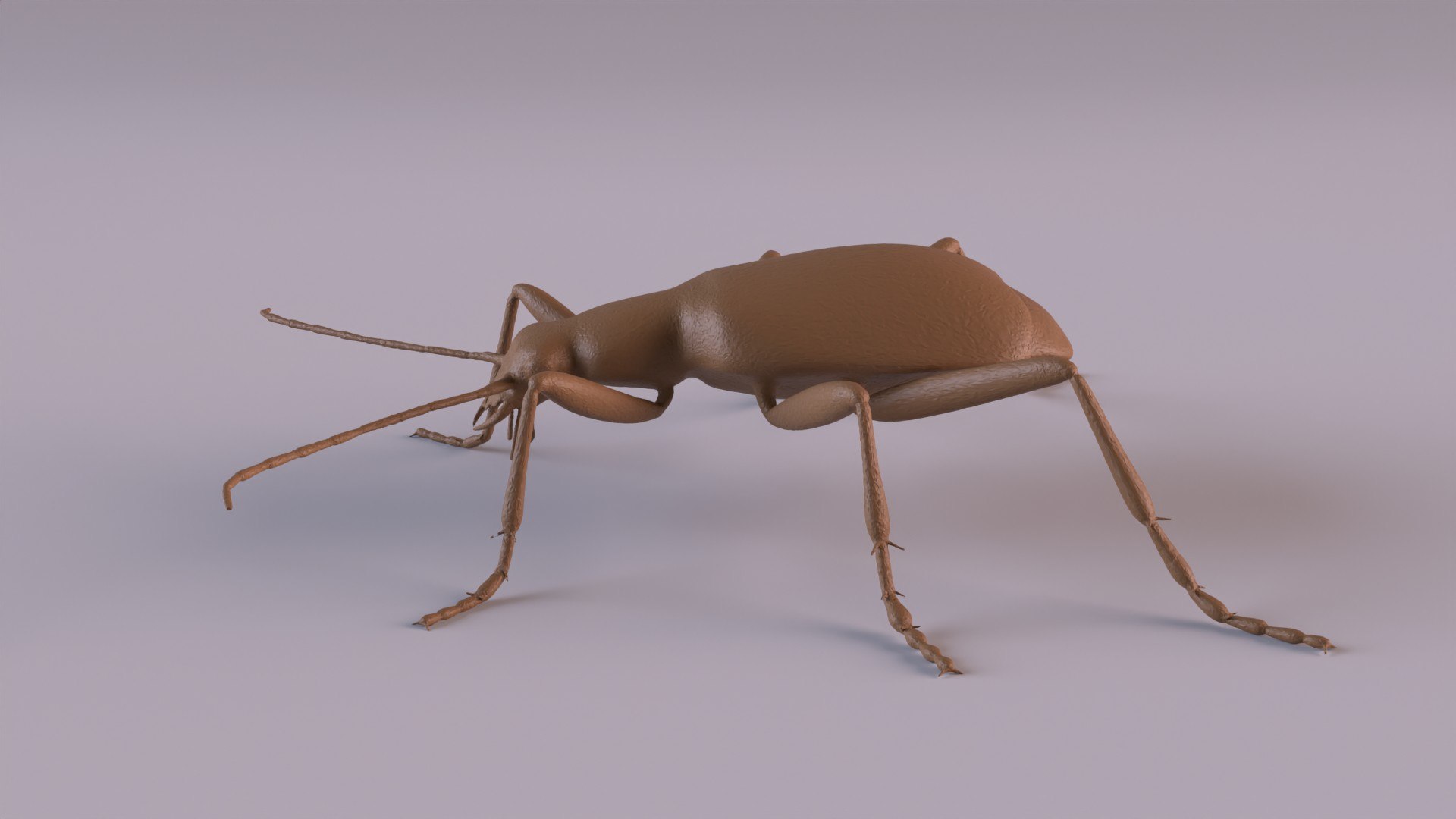 Bombardier Beetle 3D Model - TurboSquid 2415592