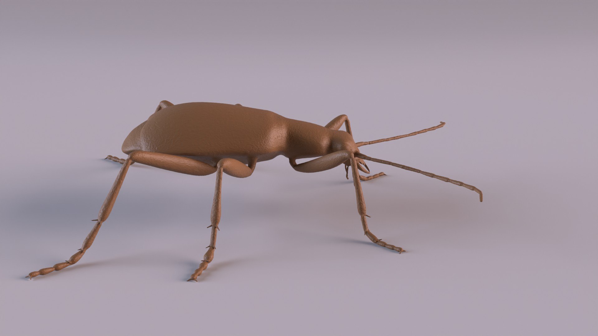 Bombardier Beetle 3D Model - TurboSquid 2415592