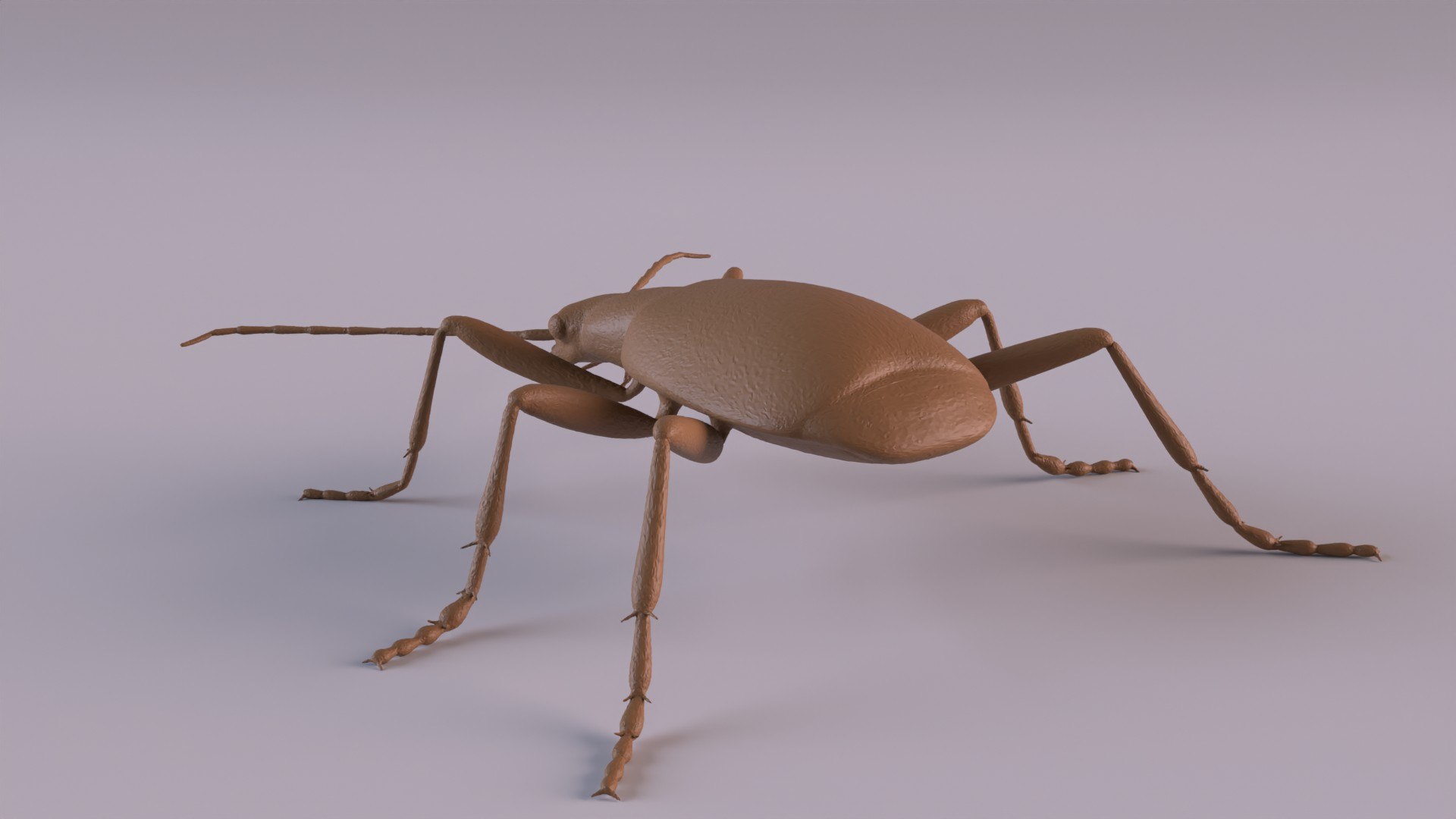 Bombardier Beetle 3D Model - TurboSquid 2415592