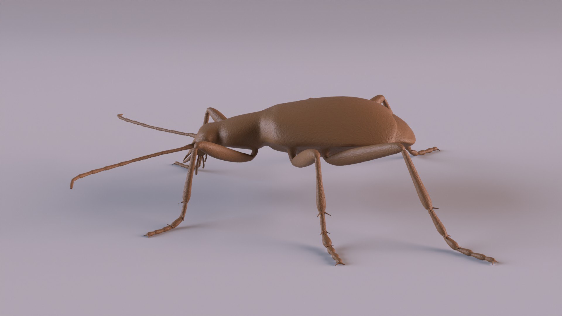 Bombardier Beetle 3D Model - TurboSquid 2415592