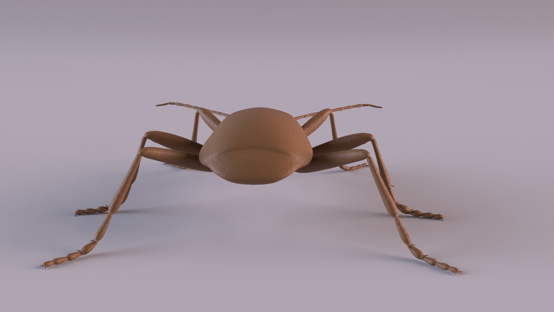 Bombardier Beetle 3D Model - TurboSquid 2415592