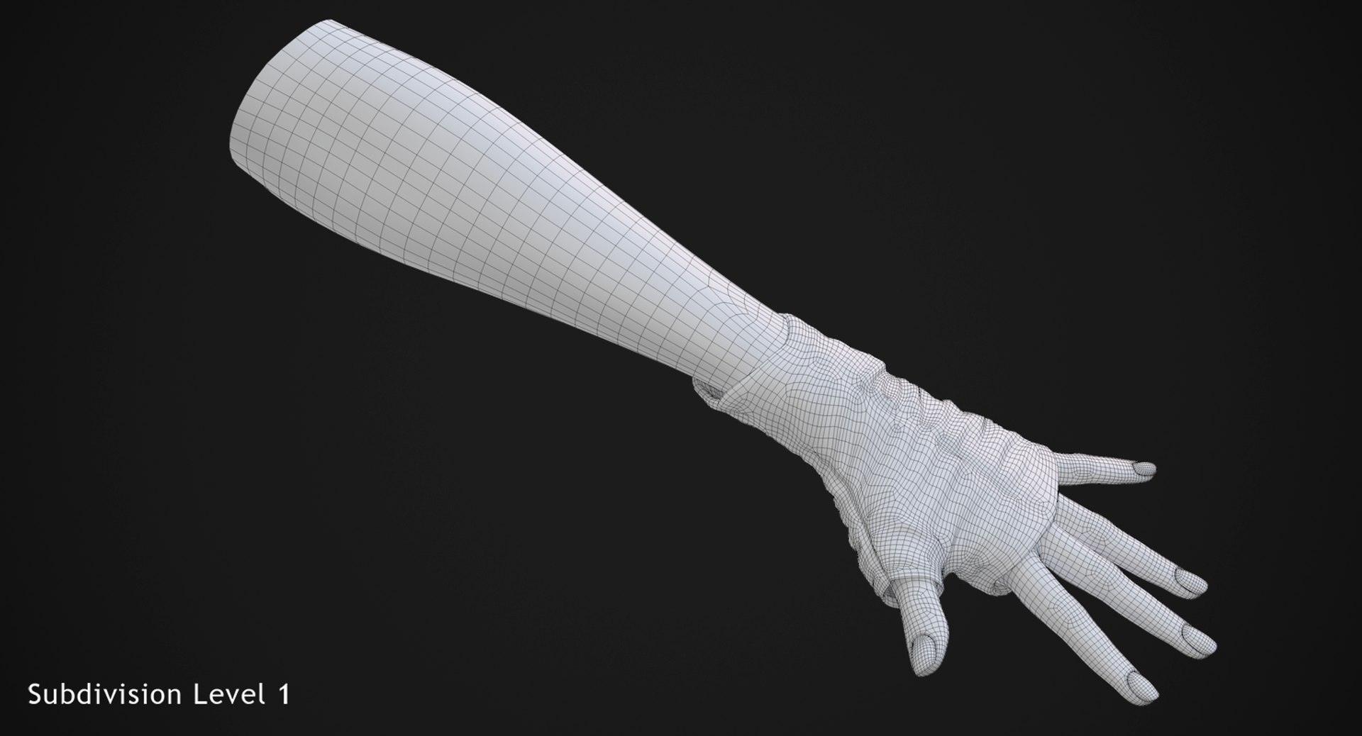Female Hand Glove 3D Model - TurboSquid 1187863