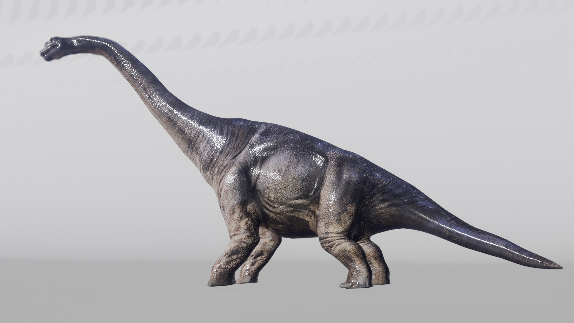 Brachiosaurus model - TurboSquid 1931597