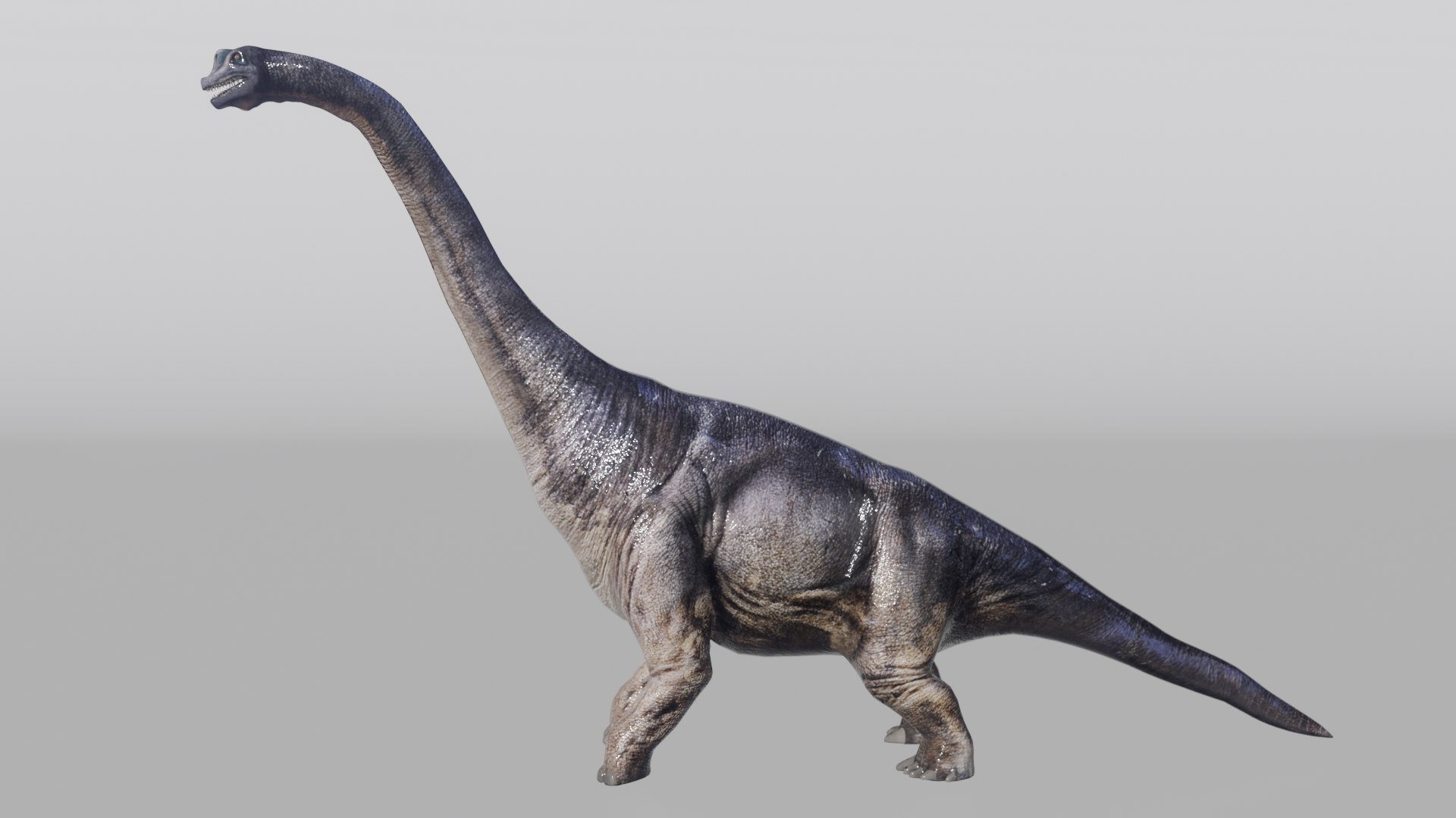 Brachiosaurus model - TurboSquid 1931597