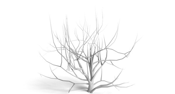 modelo 3d Arbusto muerto 1 - TurboSquid 888755