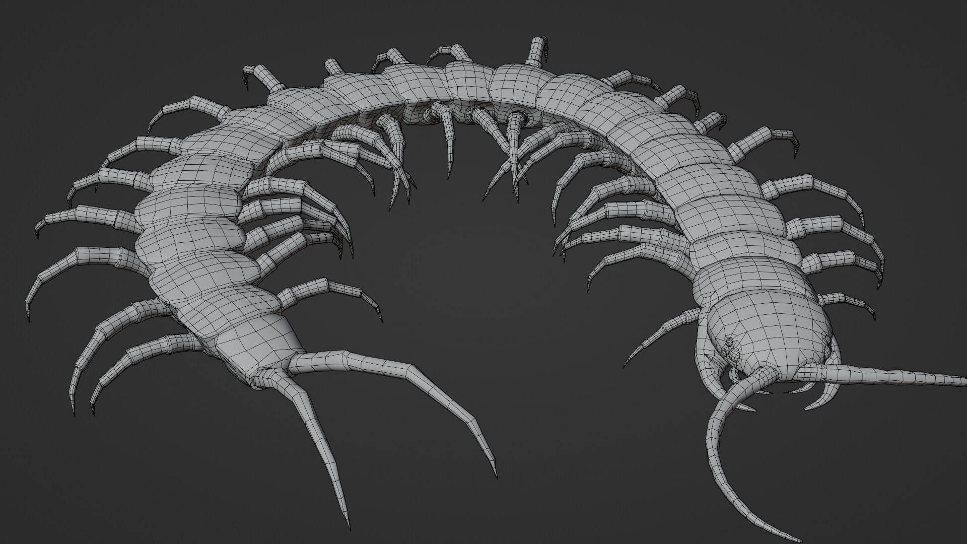 Centipede Rig For Blender And Maya 3D Model - TurboSquid 2228719