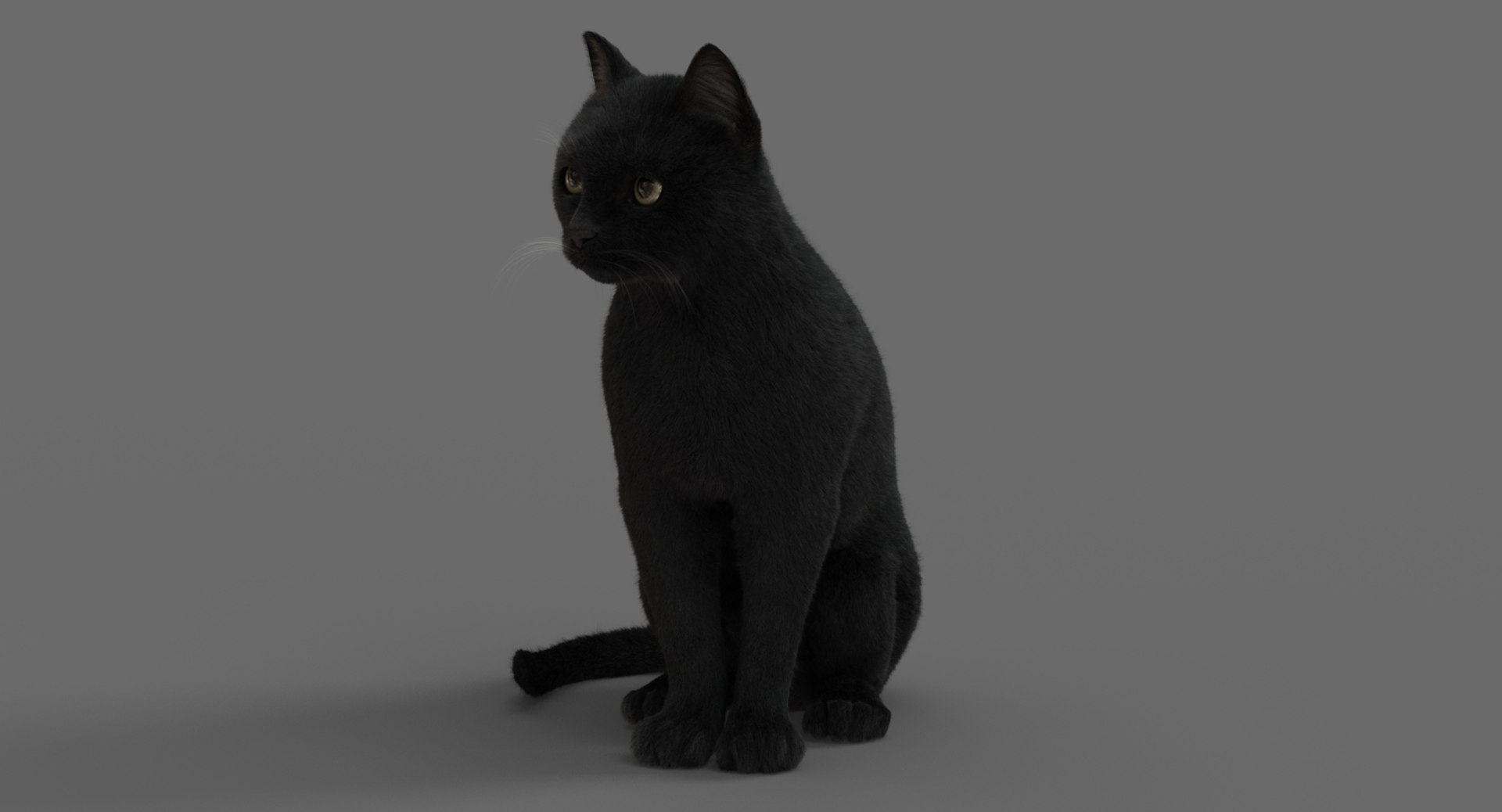 3D cats fur animation model - TurboSquid 1328362
