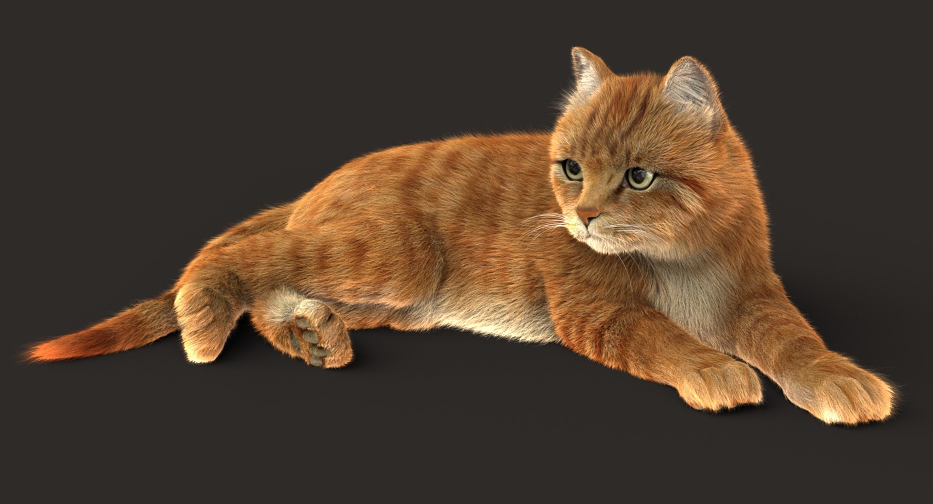3D cats fur animation model - TurboSquid 1328362