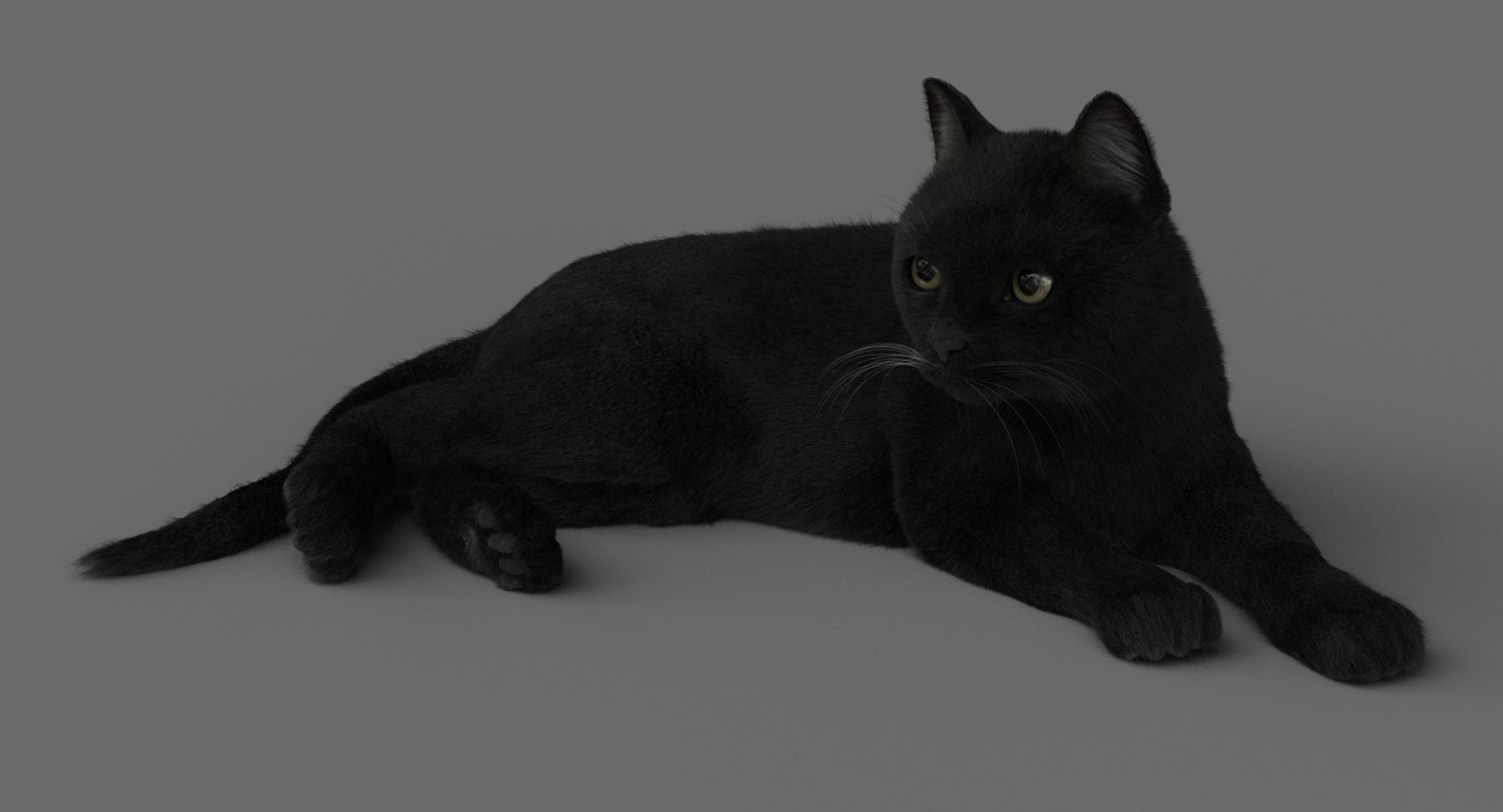 3D cats fur animation model - TurboSquid 1328362